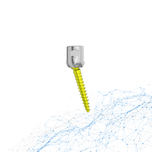 Posterior Cervical Pedicular Screws - Orthic